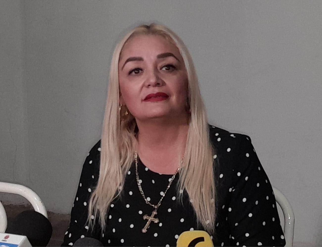 Denuncia presidenta de Mapimí deuda histórica y corriente ante CFE ...
