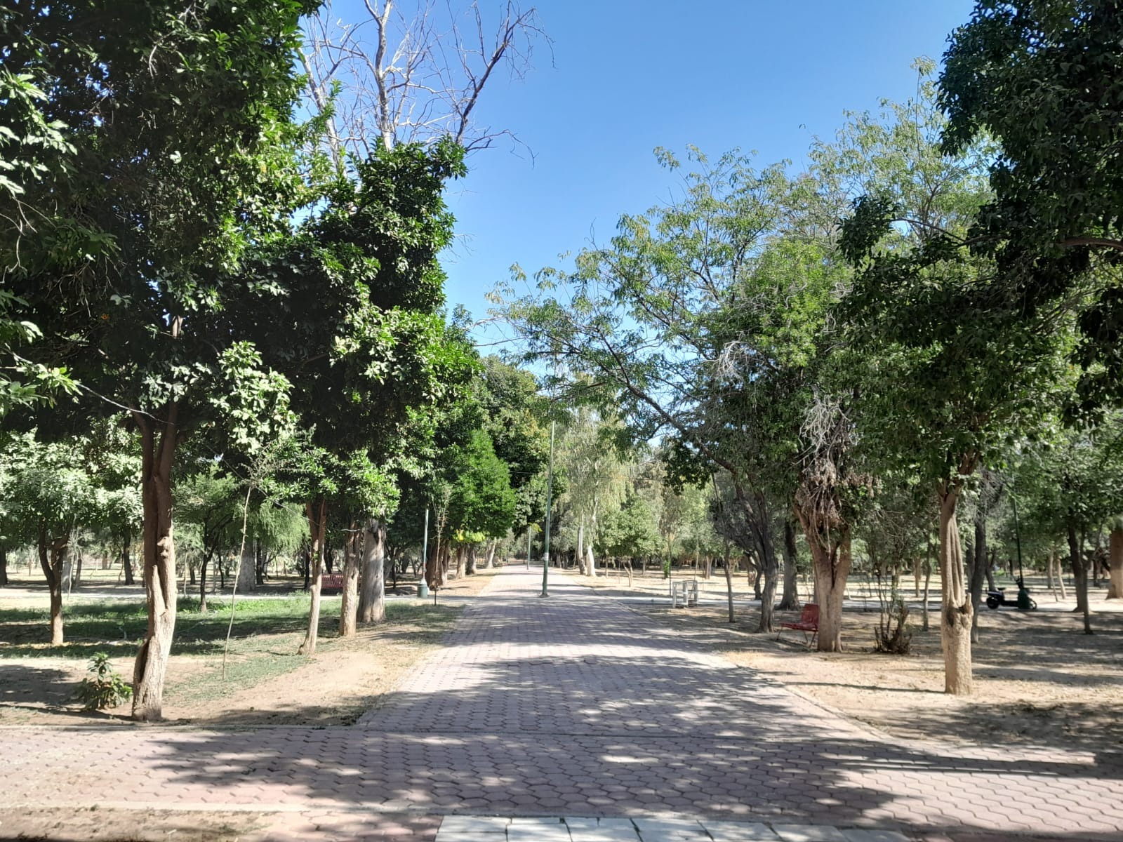 Concluye licitación para obras en el parque Las Auras - Durango PRESS